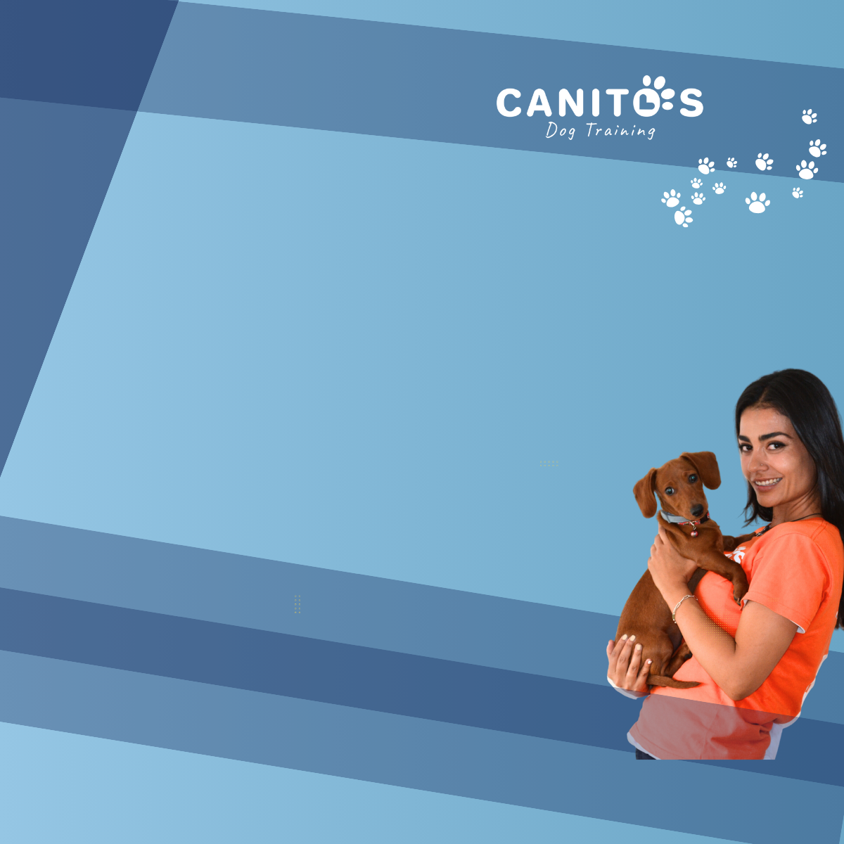 Quiero un programa para mi canito